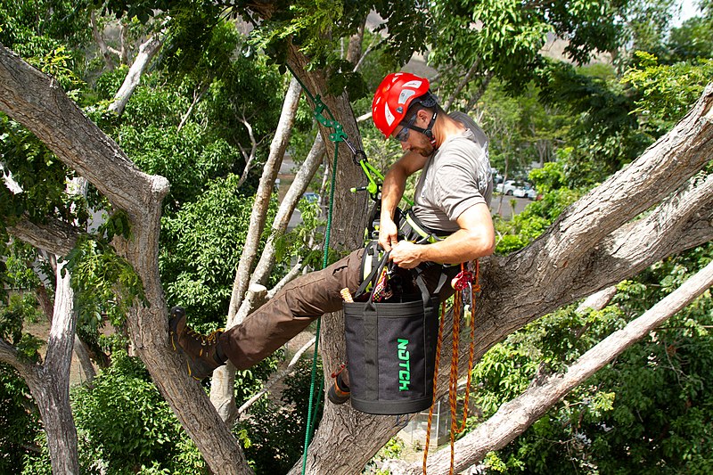 Arborists Best Logger Work Boots - Work Boot Magazine